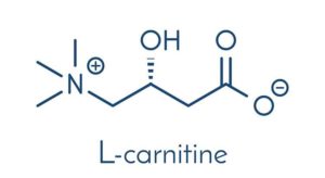 L-Carnitine - What Is It, When To Take It and How To Take it